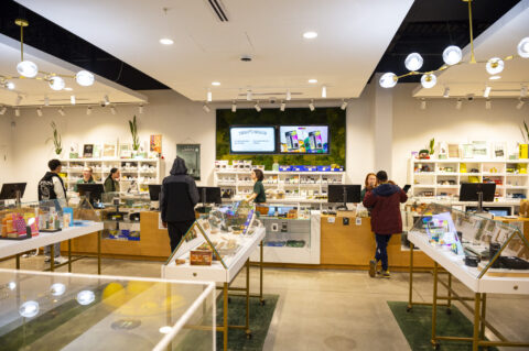 Best Dispensaries in Massachusetts | Liberty Cannabis