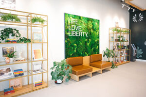 Our Pennsylvania Dispensaries | Liberty Cannabis